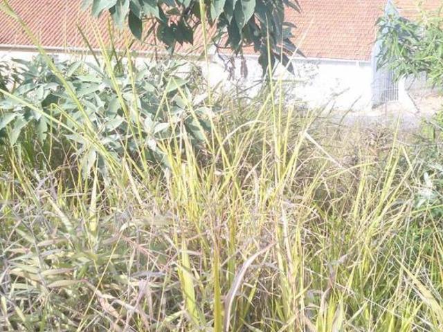 Terreno em Itatiba