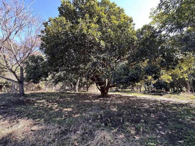 Terreno em Itu R$ 170 mil, Cod: TE 464