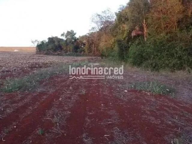 Terreno em, Ibiporã/PR de 10m² à venda por R$ 1.050.000,00