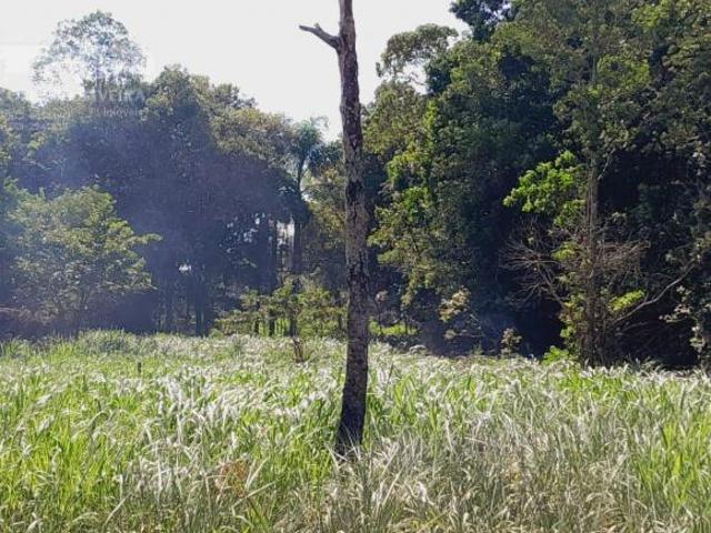 Terreno em Iguape SP Ivo Zanella Iguape