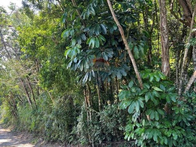 Terreno em Ilhabela: 500m² com Vista para o Mar