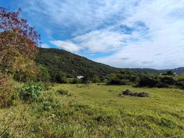 Terreno em Ingleses do Rio Vermelho, Florianópolis/SC de 0m² à venda por R$ 5.879.900,00