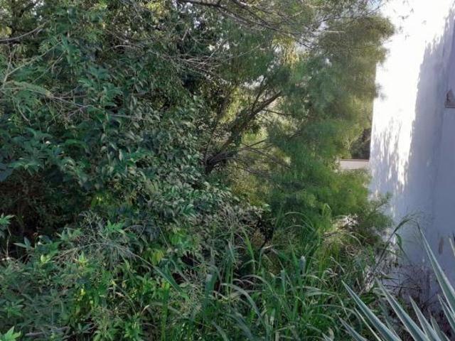Terreno em Ipanema