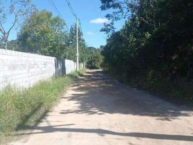 Terreno em Ipelândia Suzano