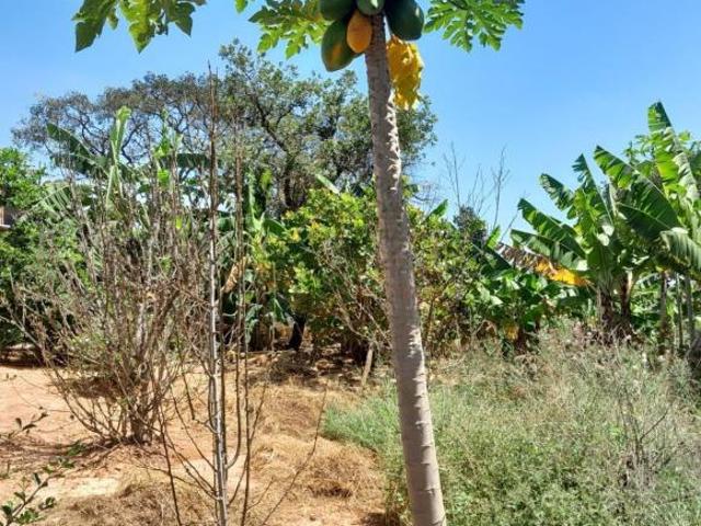 Terreno em Iporanga, Sorocaba/SP de 950m² à venda por R$ 302.900,00
