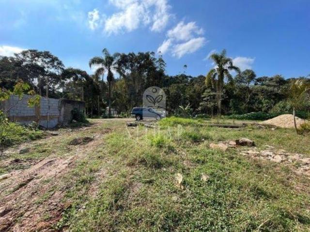 Terreno Plano em Bairro Valorizado com 316 m² e Potencial