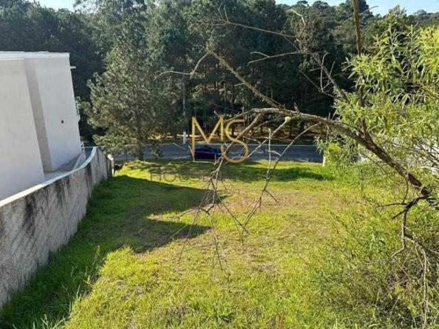 Terreno em Jardim Torino, Cotia/SP de 700m² à venda por R$ 540.000,00