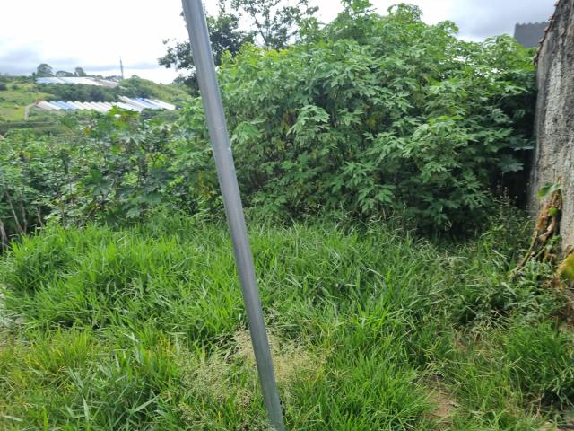 Terreno em Jardim Barro Branco, Cotia/SP de 294m² 1 quartos à venda por R$ 279.000,00
