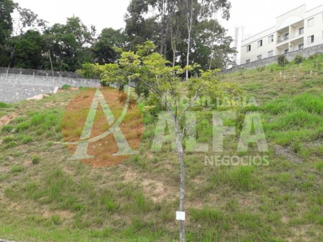 Terreno em Jardim Caiapia, Cotia/SP de 725m² à venda por R$ 259.000,00