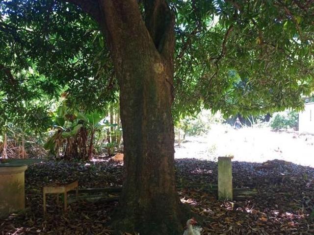 Terreno em Jardim Califórnia, Jacareí/SP de 0m² à venda por R$ 2.335.000,00