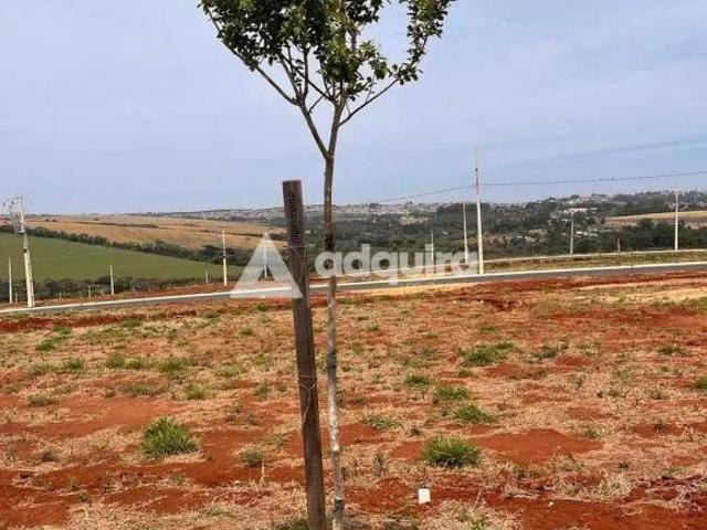Terreno em Jardim Carvalho, Ponta Grossa/PR de 10m² à venda por R$ 130.000,00