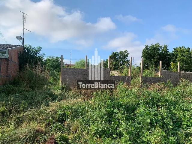 Terreno em Jardim Carvalho, Ponta Grossa/PR de 462m² à venda por R$ 149.000,00