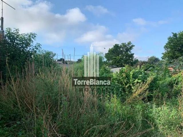 Terreno em Jardim Carvalho, Ponta Grossa/PR de 10m² à venda por R$ 150.000,00