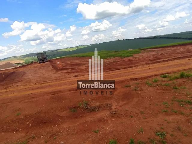 Terreno em Jardim Carvalho, Ponta Grossa/PR de 223m² à venda por R$ 154.000,00