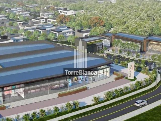 Terreno em Jardim Carvalho, Ponta Grossa/PR de 10m² à venda por R$ 190.000,00