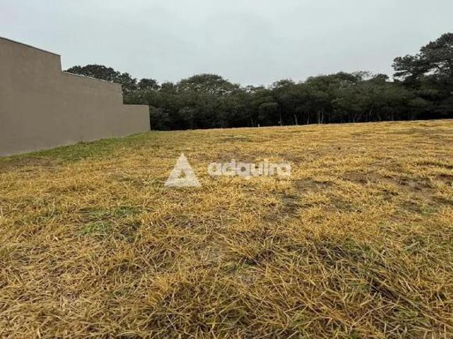 Terreno em Jardim Carvalho, Ponta Grossa/PR de 10m² à venda por R$ 220.000,00