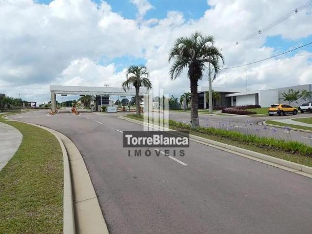 Terreno em Jardim Carvalho, Ponta Grossa/PR de 10m² à venda por R$ 240.000,00