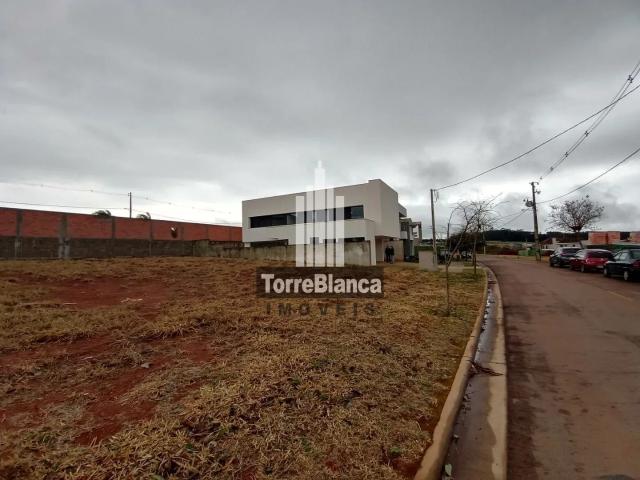 Terreno em Jardim Carvalho, Ponta Grossa/PR de 320m² à venda por R$ 329.000,00