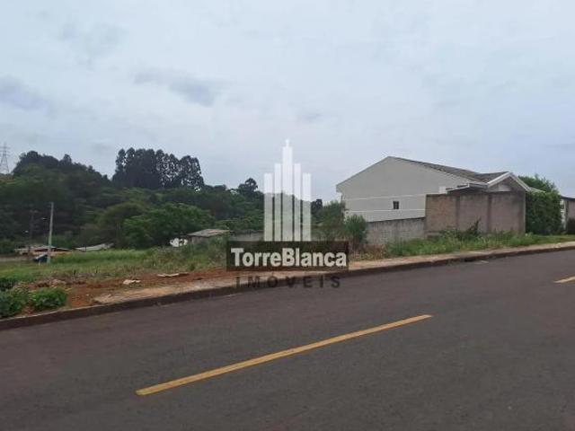 Terreno em Jardim Carvalho, Ponta Grossa/PR de 10m² à venda por R$ 300.000,00