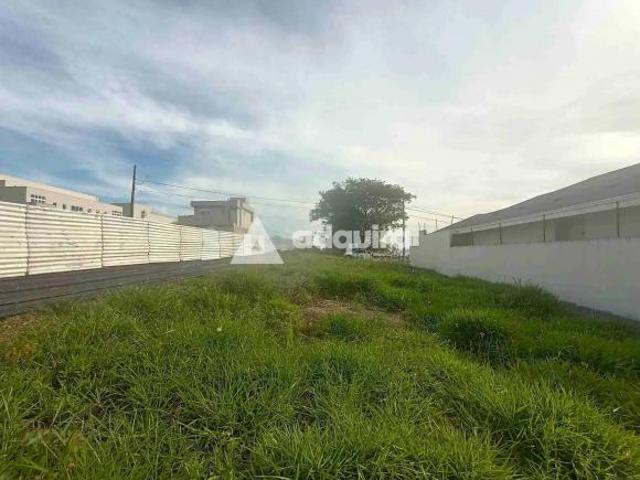 Terreno em Jardim Carvalho, Ponta Grossa/PR de 10m² à venda por R$ 315.000,00