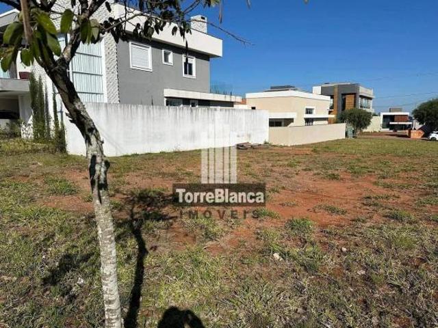Terreno em Jardim Carvalho, Ponta Grossa/PR de 10m² à venda por R$ 330.000,00