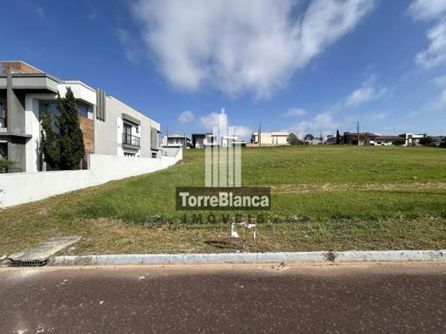 Terreno em Jardim Carvalho, Ponta Grossa/PR de 10m² à venda por R$ 342.240,00