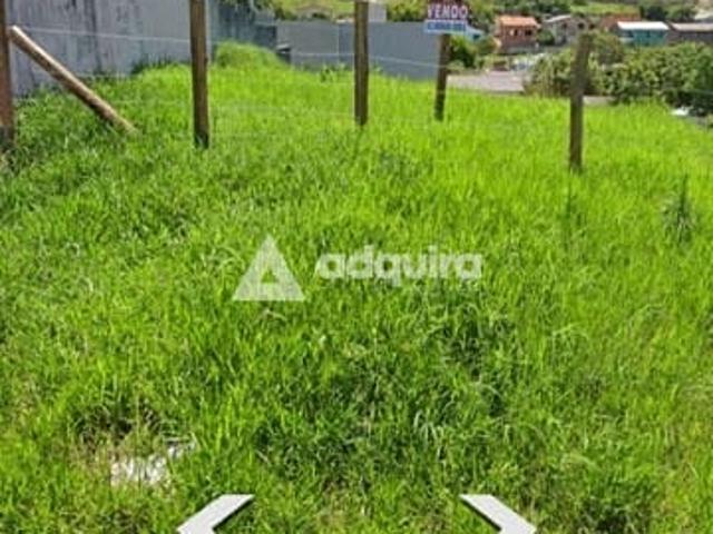 Terreno em Jardim Carvalho, Ponta Grossa/PR de 528m² à venda por R$ 349.900,00