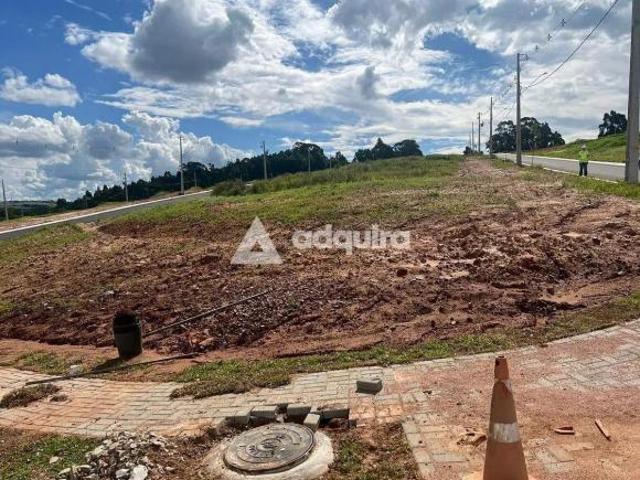 Terreno em Jardim Carvalho, Ponta Grossa/PR de 267m² à venda por R$ 220.000,00