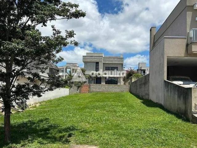 Terreno em Jardim Carvalho, Ponta Grossa/PR de 372m² à venda por R$ 450.000,00