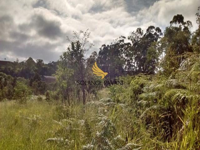 Terreno em Jardim Caxambu, Jundiaí/SP de 10833m² à venda por R$ 2.166.000,00