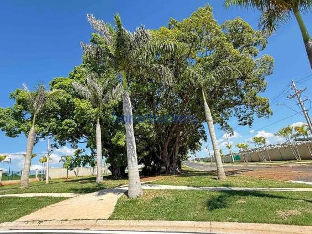 Terreno em Jardim Conceição Sousas, Campinas/SP de 480m² à venda por R$ 730.000,00