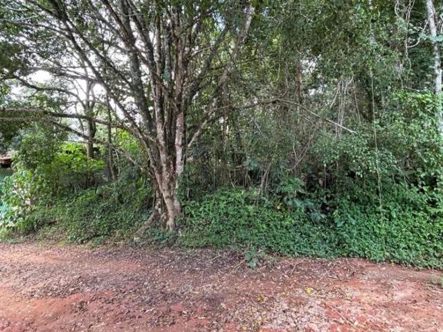 Terreno em Jardim Colibri, Cotia/SP de 0m² à venda por R$ 320.000,00