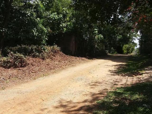 Terreno em Jardim Colibri, Cotia/SP de 0m² à venda por R$ 350.000,00