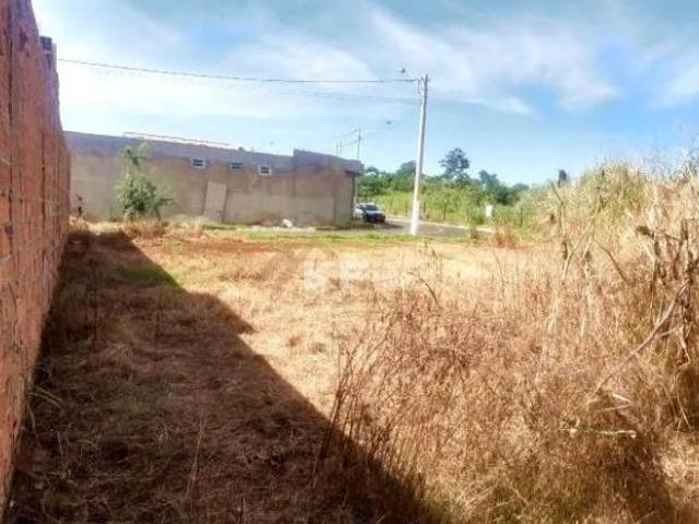 Terreno em Jardim Cristo Redentor, Ribeirão Preto/SP
