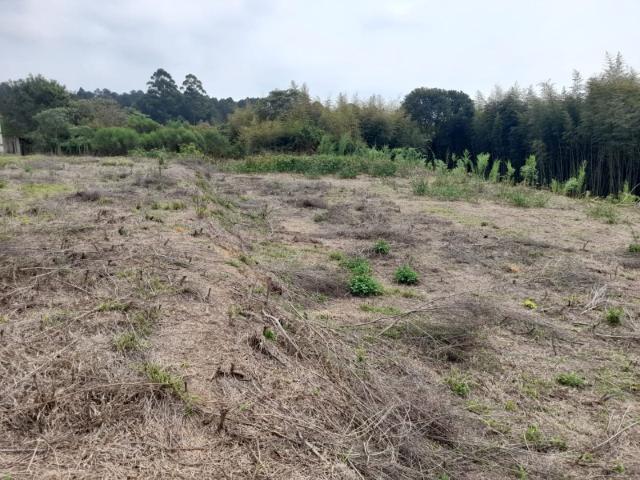 Terreno em Jardim das Oliveiras Caucaia do Alto, Cotia/SP de 0m² à venda por R$ 363.875,00