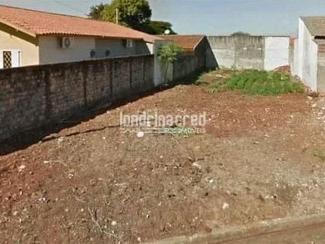 Terreno em Jardim das Palmeiras, Londrina/PR de 10m² à venda por R$ 239.000,00