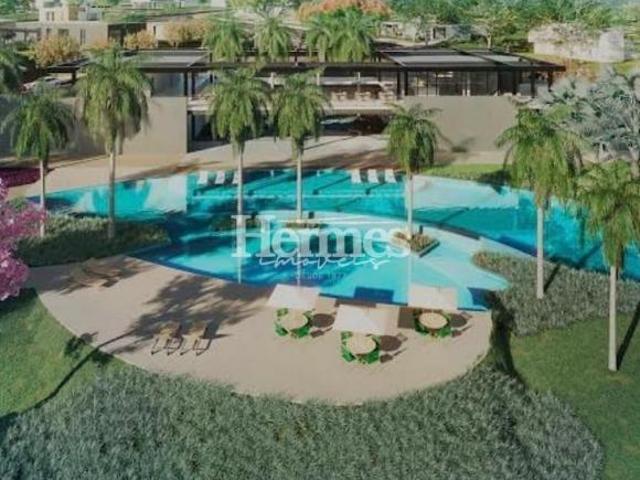 Terreno em Jardim dos Calegaris, Paulínia/SP de 10m² à venda por R$ 350.000,00