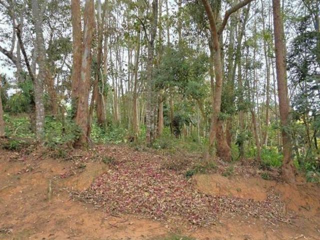 Terreno em Jardim Elias, Cotia/SP de 0m² à venda por R$ 360.000,00
