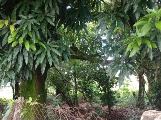 Terreno em Jardim Hermínia, Boituva/SP