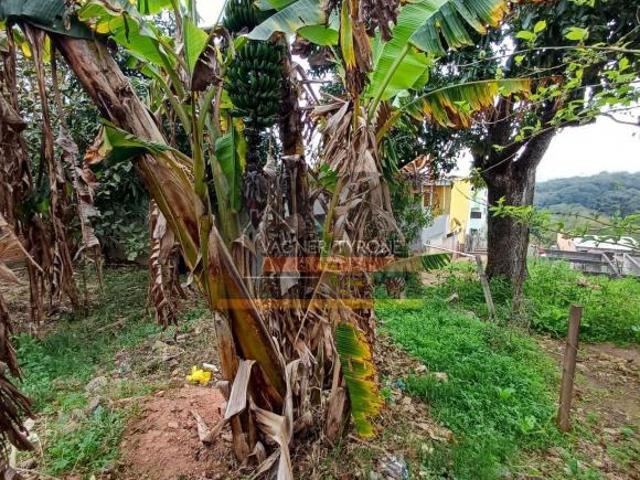 Terreno em Jardim Japão Caucaia do Alto, Cotia/SP de 125m² à venda por R$ 100.000,00