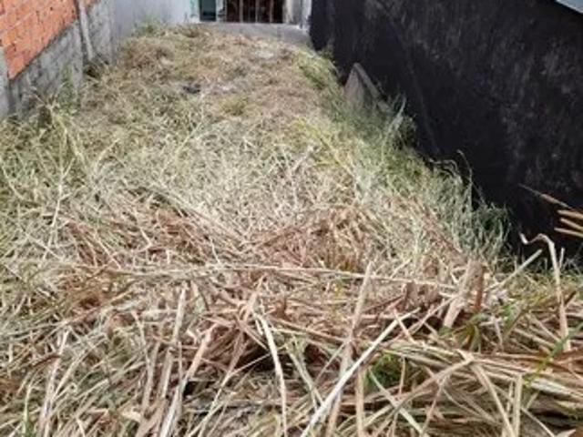 Terreno em Jardim Leonor, Cotia/SP de 55m² à venda por R$ 159.900,00