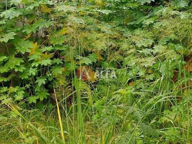 Terreno em Jardim Leonor, Cotia/SP de 0m² à venda por R$ 220.000,00