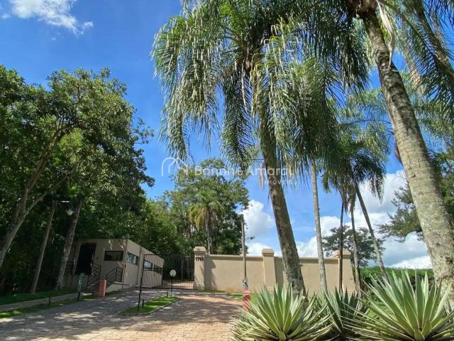 Terreno em Jardim Martinelli Sousas, Campinas/SP de 20000m² à venda por R$ 1.999.000,00