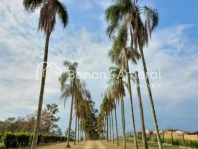 Terreno em Jardim Martinelli Sousas, Campinas/SP de 20000m² à venda por R$ 2.000.000,00
