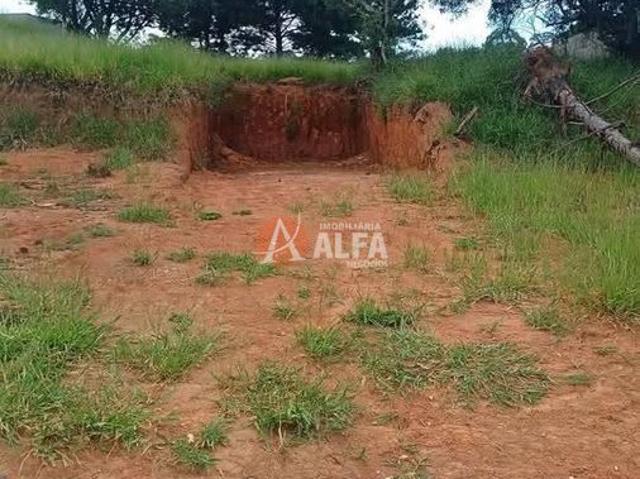 Terreno em Jardim Museu, Cotia/SP de 125m² à venda por R$ 79.900,00
