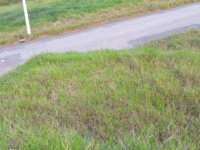 Terreno em Jardim Novo Amanhecer, Jacareí/SP de 0m² à venda por R$ 159.000,00