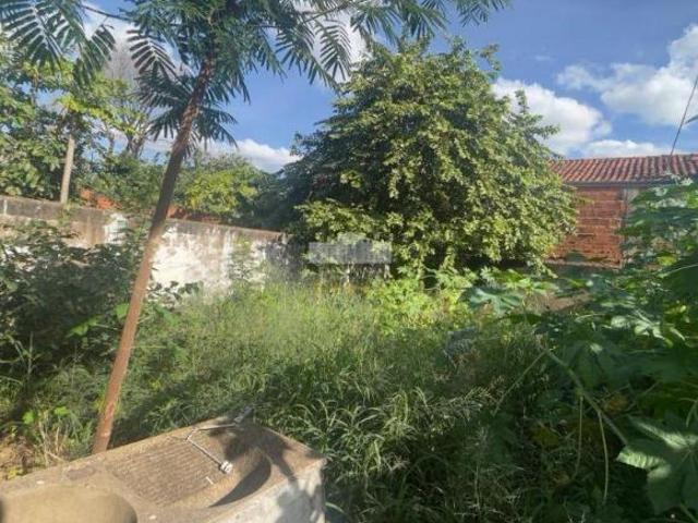 Terreno em Jardim Pinheiros, Birigüi/SP de 250m² à venda por R$ 110.000,00