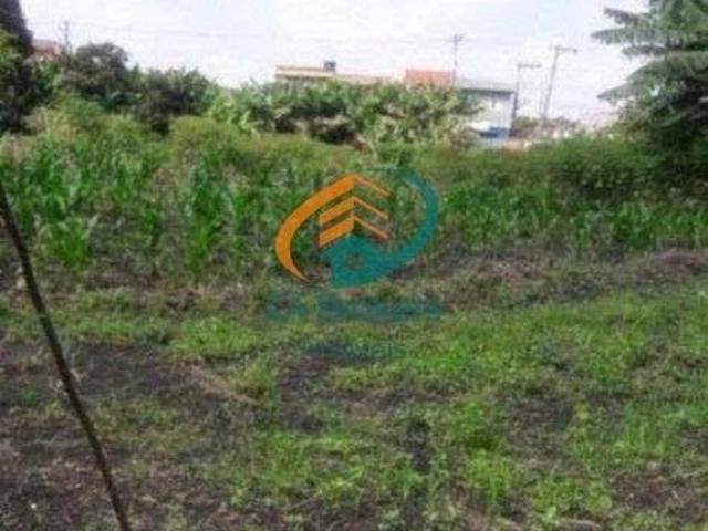 Terreno em Jardim Presidente Dutra Guarulhos