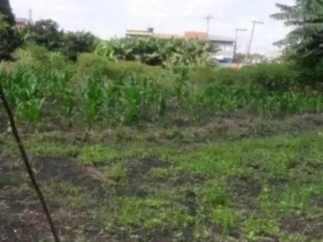 Terreno em Jardim Presidente Dutra Guarulhos