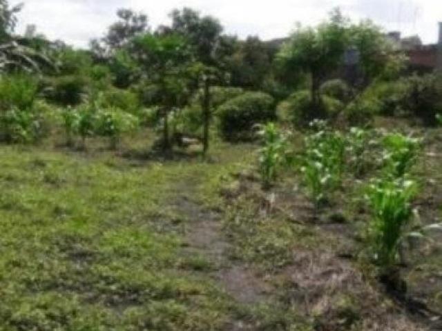 Terreno em Jardim Presidente Dutra, Guarulhos/SP de 2000m² à venda por R$ 4.499.000,00